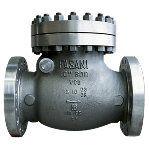 Fasani Bolted Bonnet Check Valves - TRANSWATER