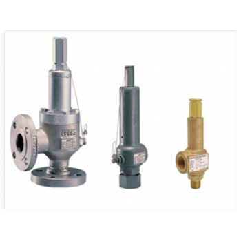 Anderson Greenwood Direct Spring Operated Pressure Relief Valves Series ...