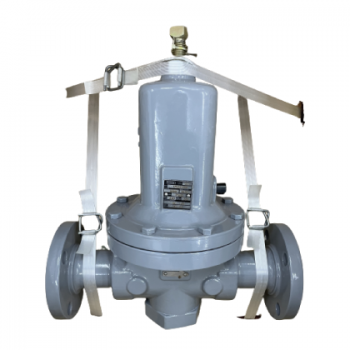 MR95 Series Industrial Pressure Regulators (MR95L;1″150RF;WCC;2-6PSI ...