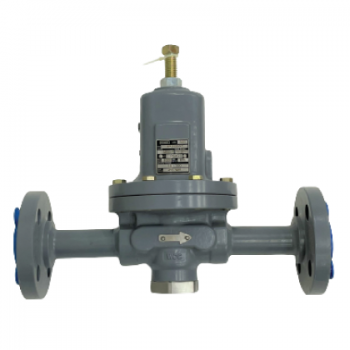 MR95 Series Industrial Pressure Regulators (MR95L;1″150RF;WCC;2-6PSI ...